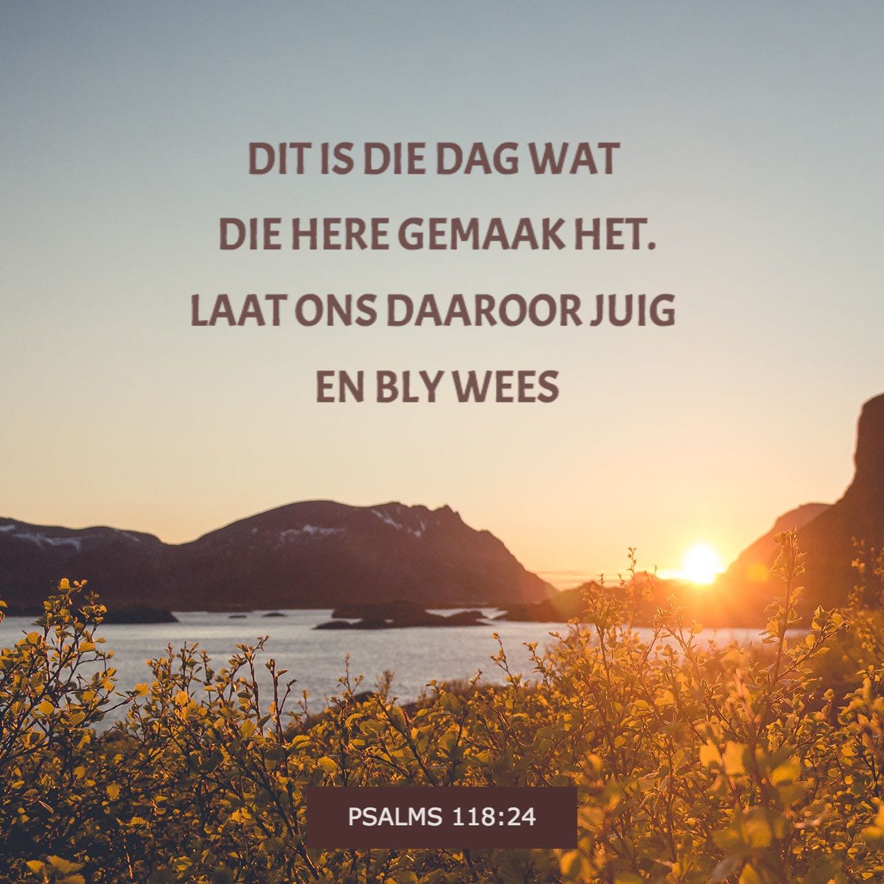 Psalms 118:24-28 So ’n dag is baie besonders. Ons sal bly daaroor sing ...