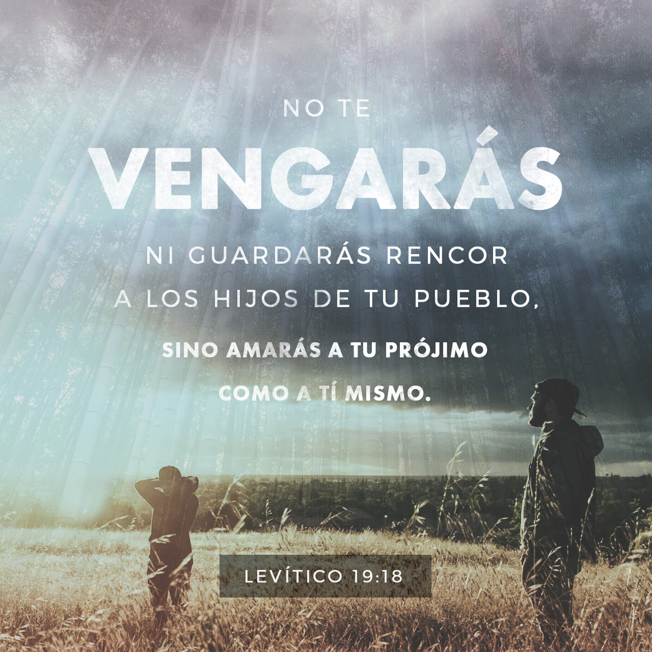 Lev tico 19 18 NVI No Seas Vengativo Con Tu Pr jimo N YouVersion Lev tico 19 18 NVI No Seas Vengativo Con Tu Pr jimo N YouVersion