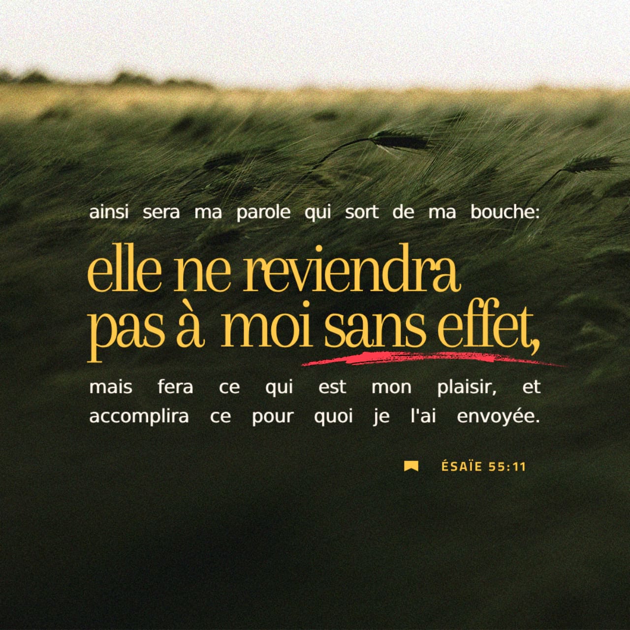 Ésaïe 55:10-11 Car comme la pluie et la neige descendent des cieux, et ...