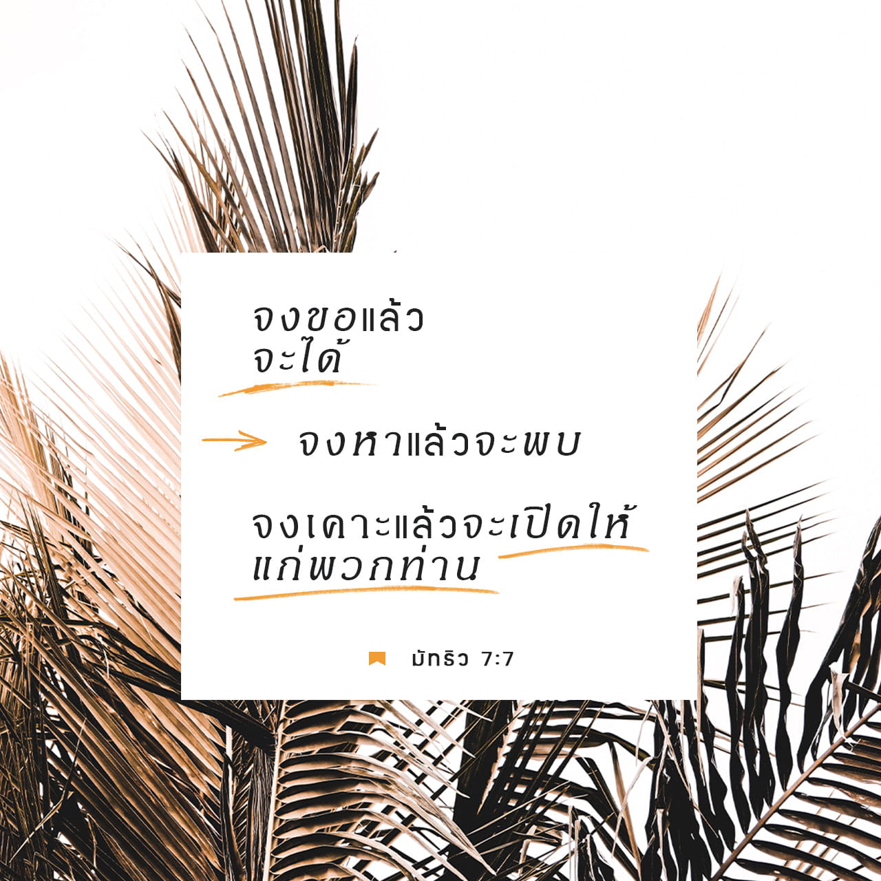 มัทธิว 7 6 11 “อย่าให้ของบริสุทธิ์แก่สุนัข อย่าโยนไข่มุกให้แก่สุกร เกรง