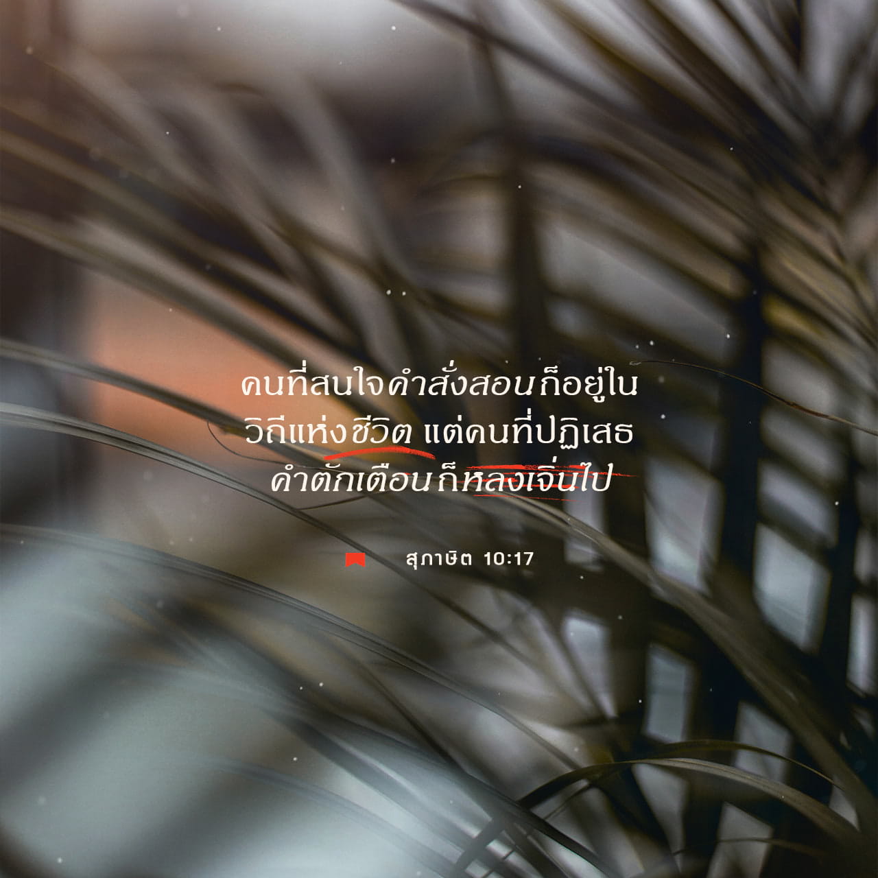 สุภาษิต 10:17-32 คนที่สนใจคำสั่งสอนก็อยู่ในวิถีแห่งชีวิต แต่คนที่ปฏิเสธคำตักเตือนก็หลงเจิ่นไป ...