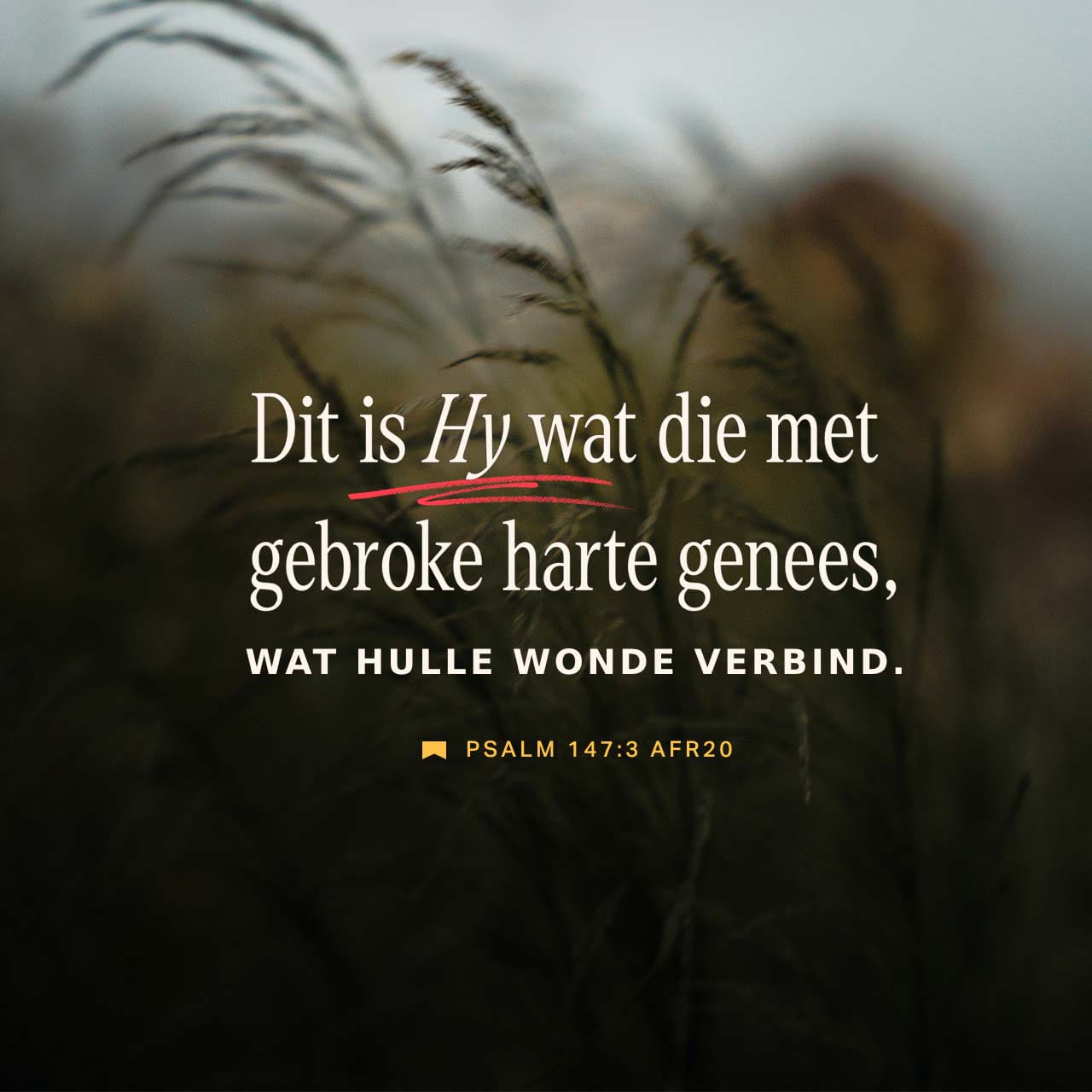 Afrikaanse Hartseer Quotes