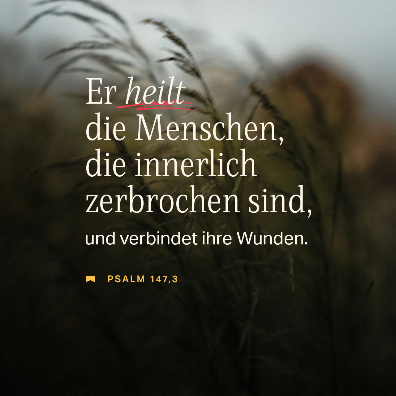 Jesus Heilt Menschen Jesus Heilte Besessenen Zu Kapernaum