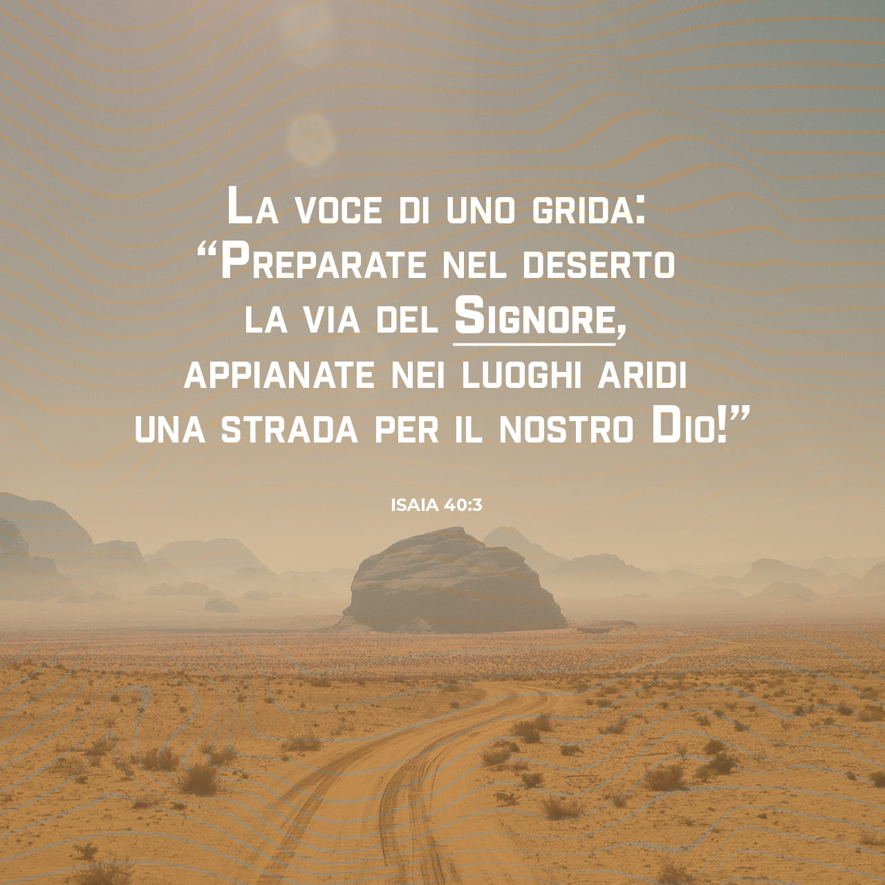 ISAIA 40:3 Vi è una voce d'uno che grida: Acconciate nel deserto la via ...