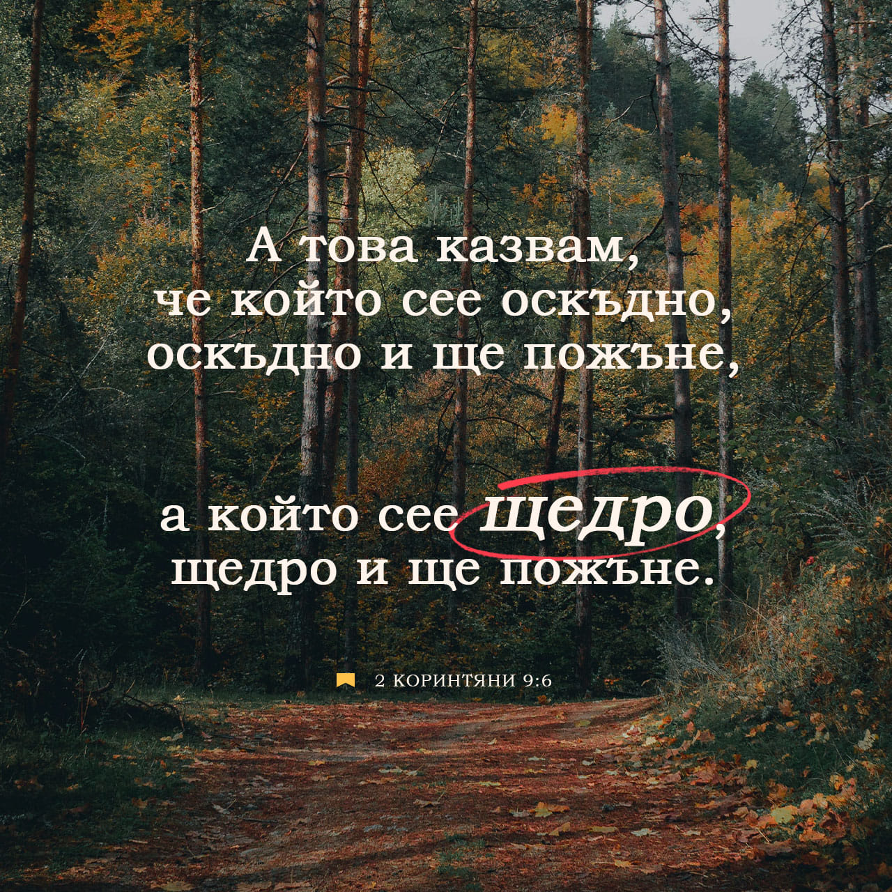 2 Коринтяни 9:6 (VBG) - А това казвам, че който сее оскъдно | YouVersion