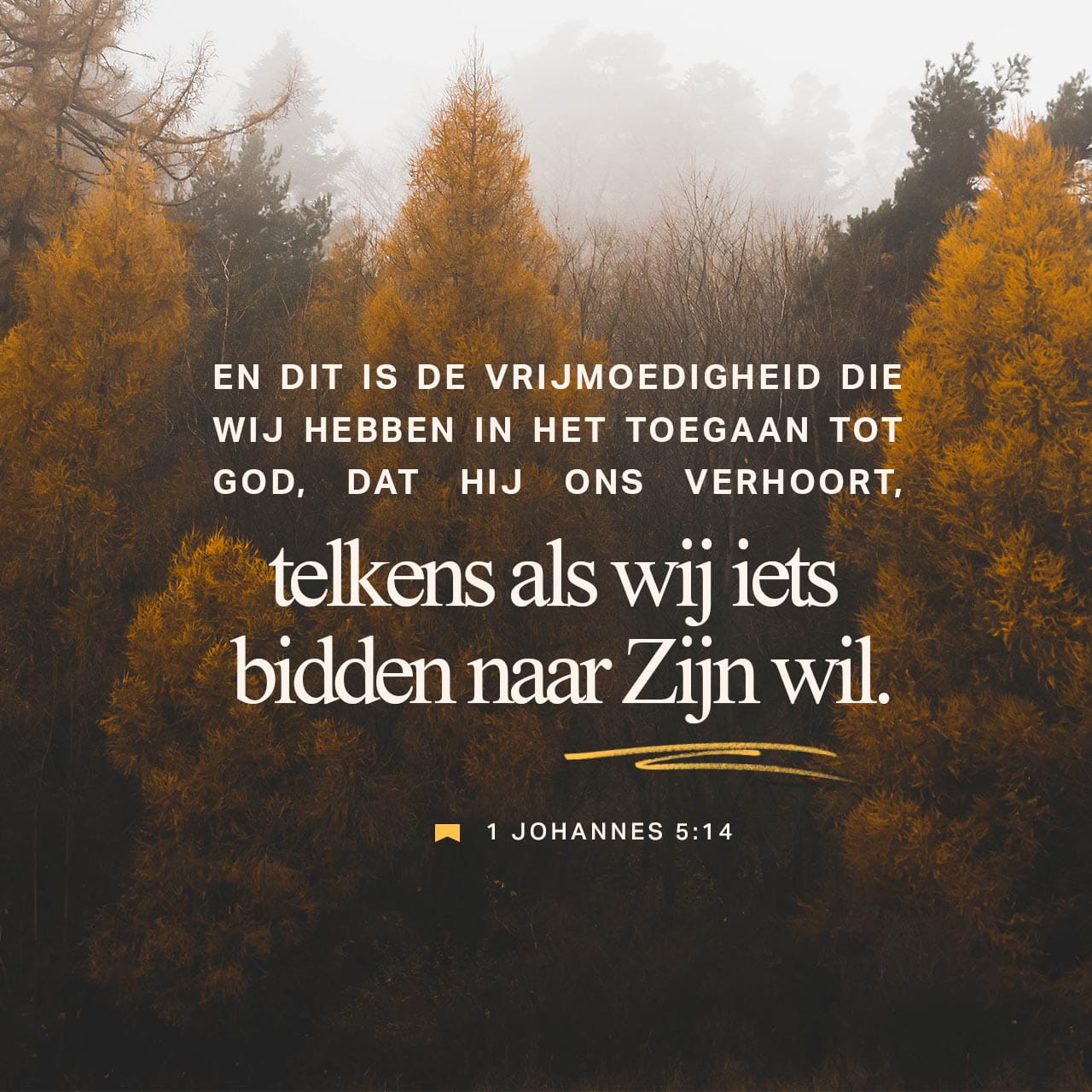 1 Johannes 5:14 We kunnen zonder vrees naar Hem toe gaan, vol vertrouwen dat Hij ons antwoordt ...