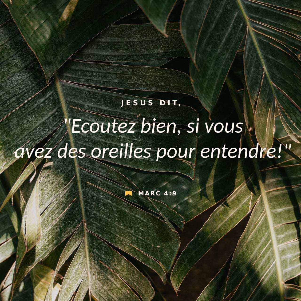 Marc 4:9 Et Jésus ajoute : « Celui qui a des oreilles pour écouter, qu ...
