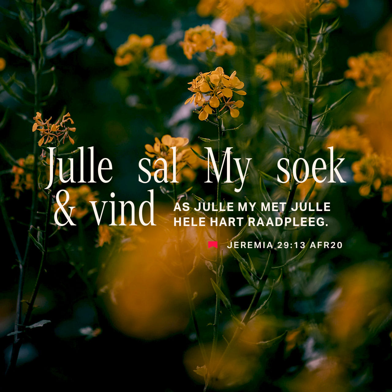 JEREMIA 29:11, 13 (AFR83) - Ek weet wat Ek vir julle beplan, sê ...