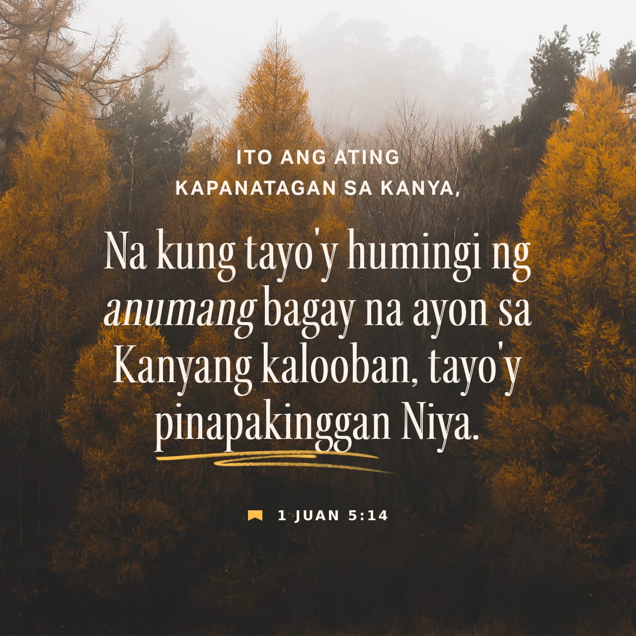 1 Juan 5:14-15 Hindi tayo nag-aatubiling lumapit sa kanya dahil alam ...