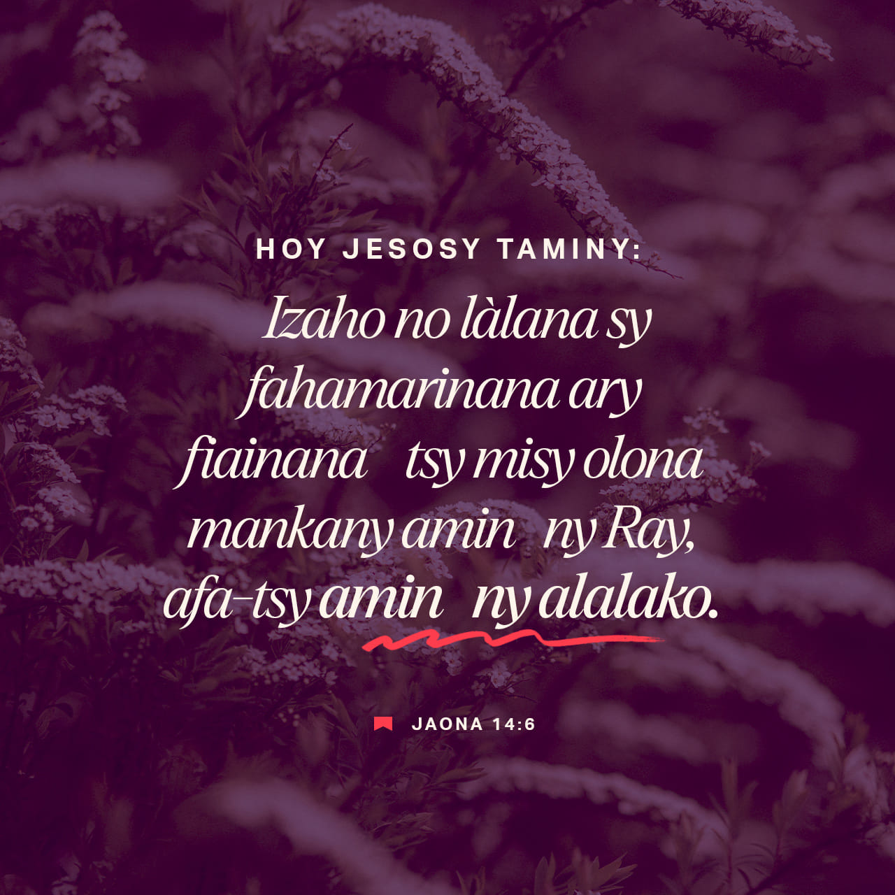 Jaona 14:6 Hoy Jesosy taminy: Izaho no lalana sy fahamarinana ary ...