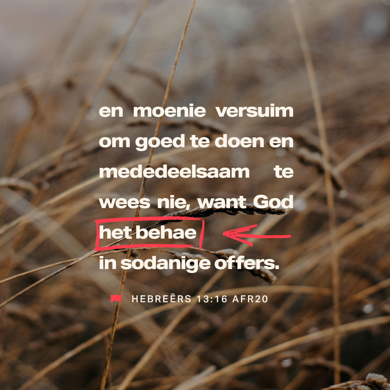Hebreërs 13:16 En moenie versuim om goed te doen en mededeelsaam te ...