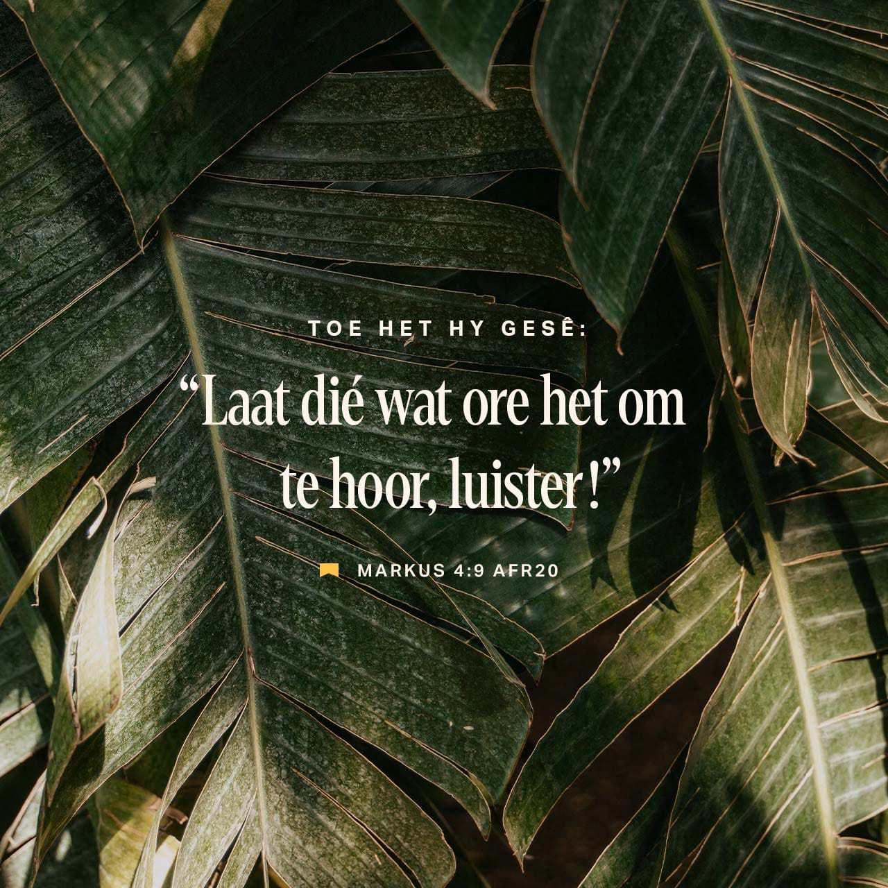 MARKUS 4:9-11 En Hy sê vir hulle: Wie ore het om te hoor, laat hom hoor. En toe Hy alleen was ...