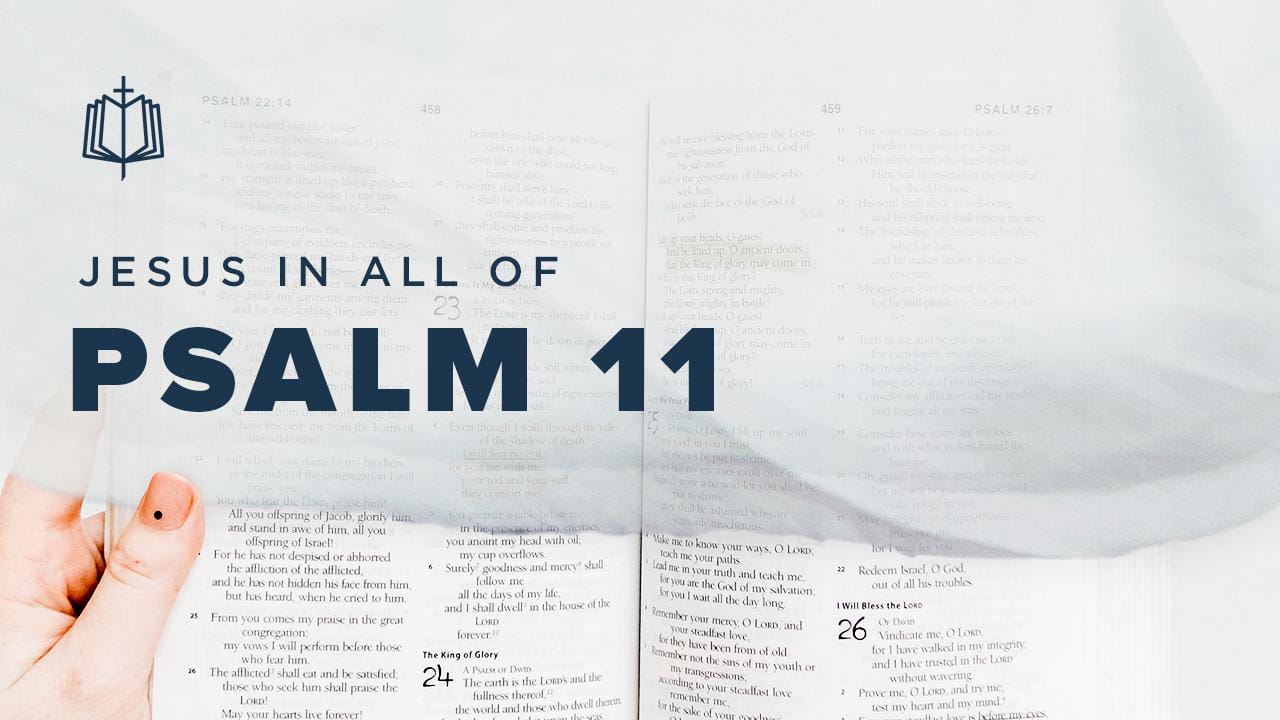 Psalm 11 | Videos | YouVersion