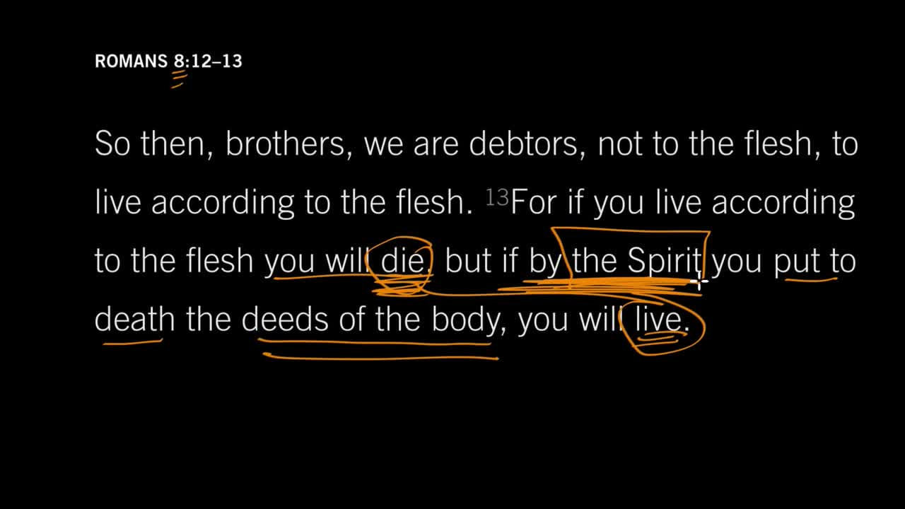 Put Sin to Death | 13 | Videos | YouVersion