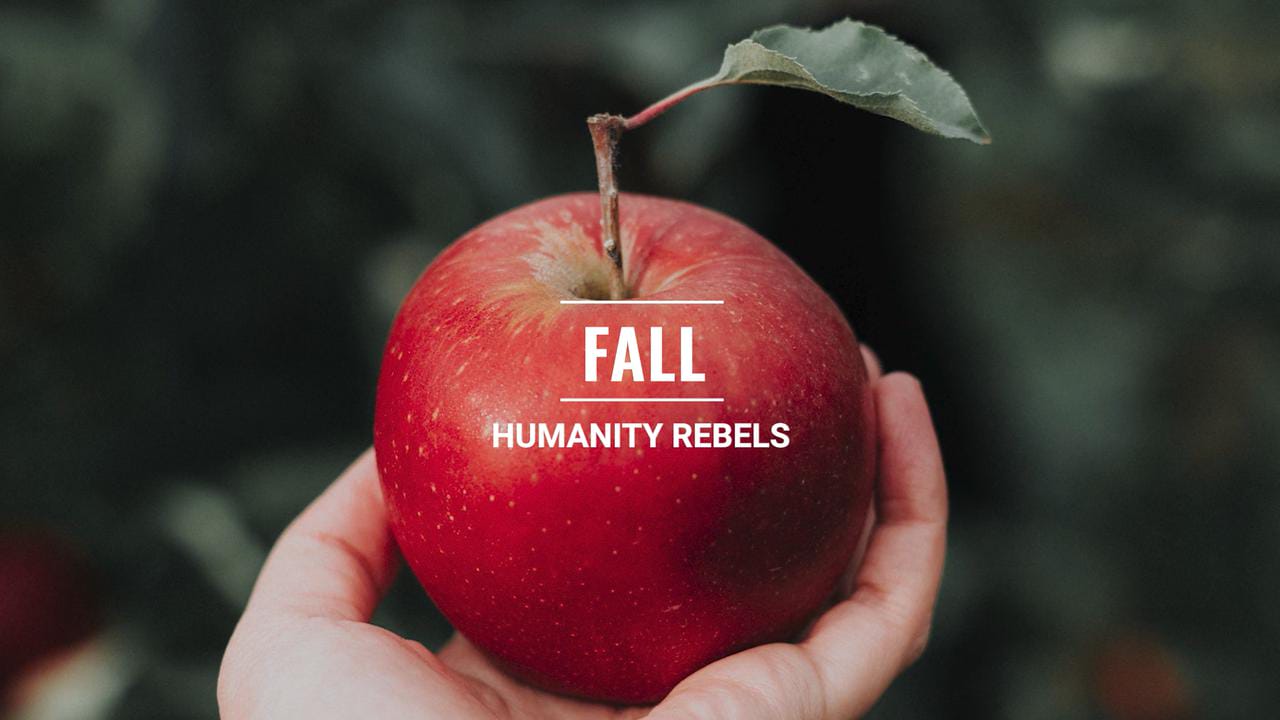 Session 2 - Fall: Humanity Rebels Against the Creator | Videos | YouVersion