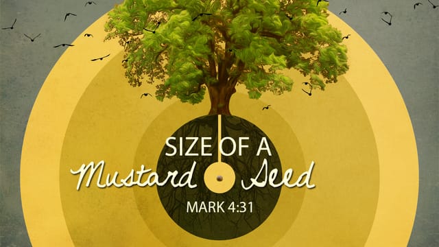 Mustard Seed Tree Size