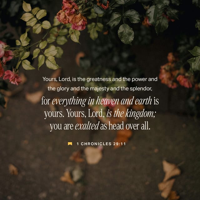 Bible Verse of the Day | YouVersion