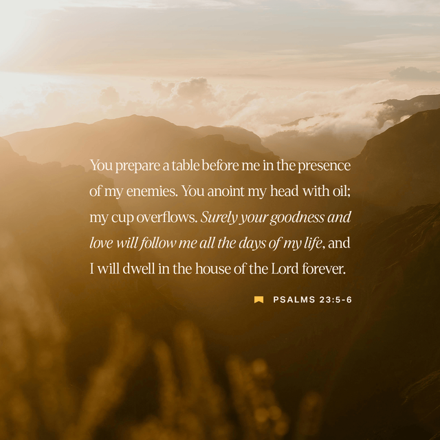 Bible Verse of the Day | YouVersion