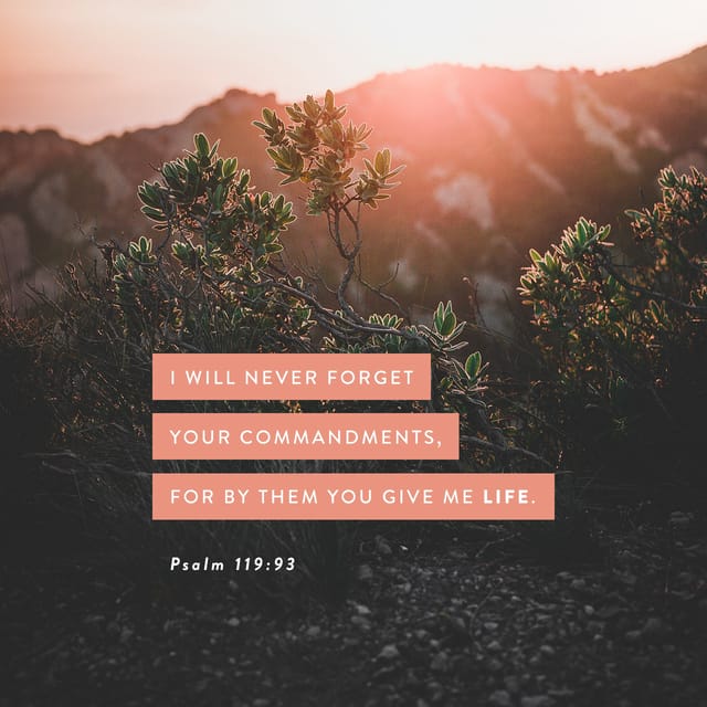Bible Verse of the Day | YouVersion