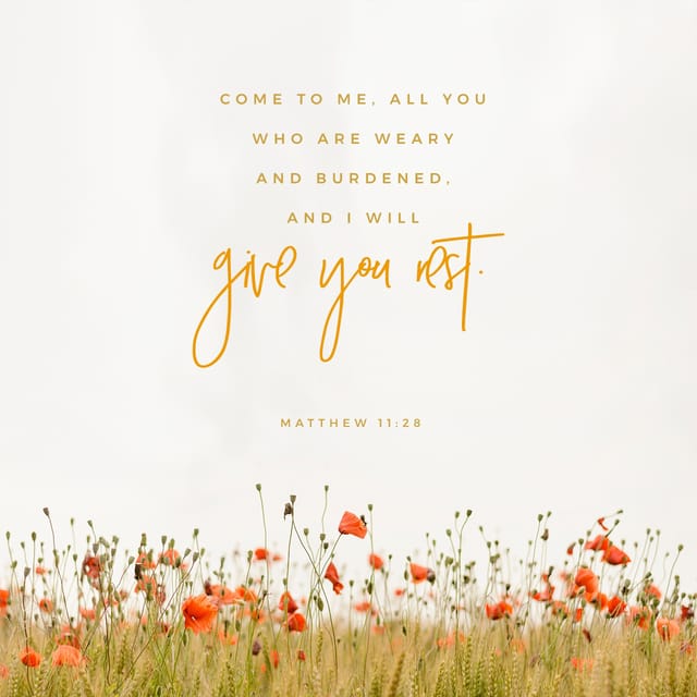 Bible Verse of the Day | YouVersion