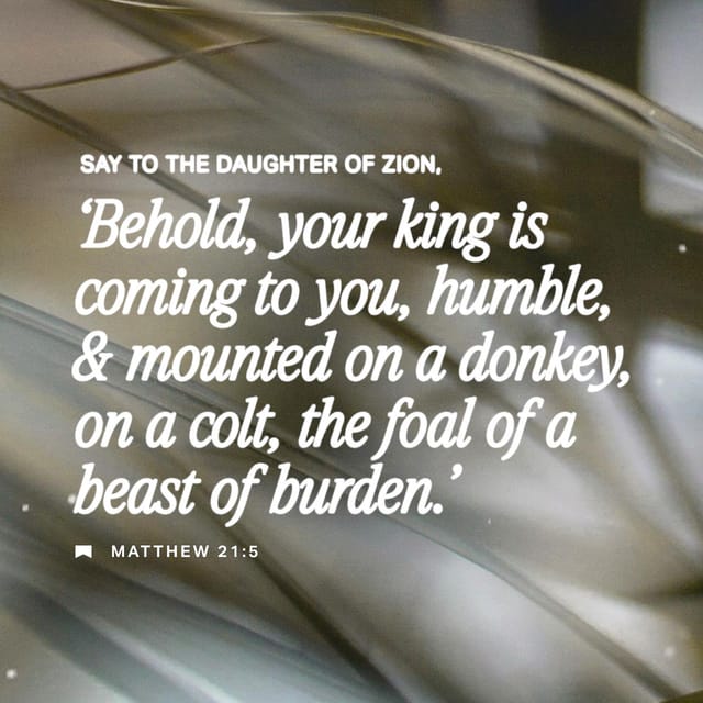 Bible Verse of the Day | YouVersion