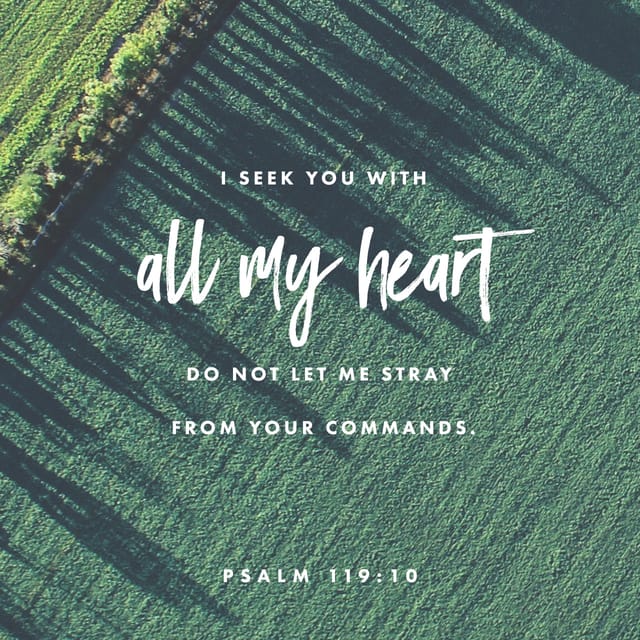 Bible verse of the day | YouVersion