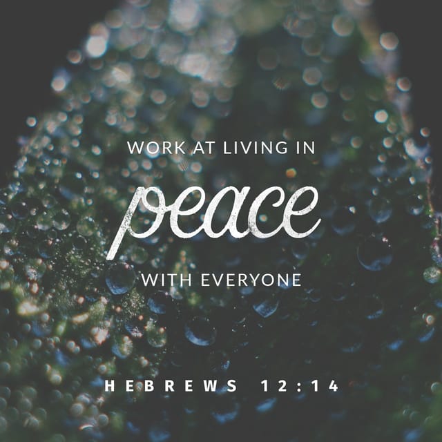 Bible Verse of the Day | YouVersion