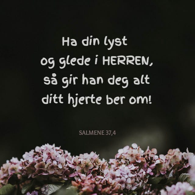Dagens bibelvers | YouVersion