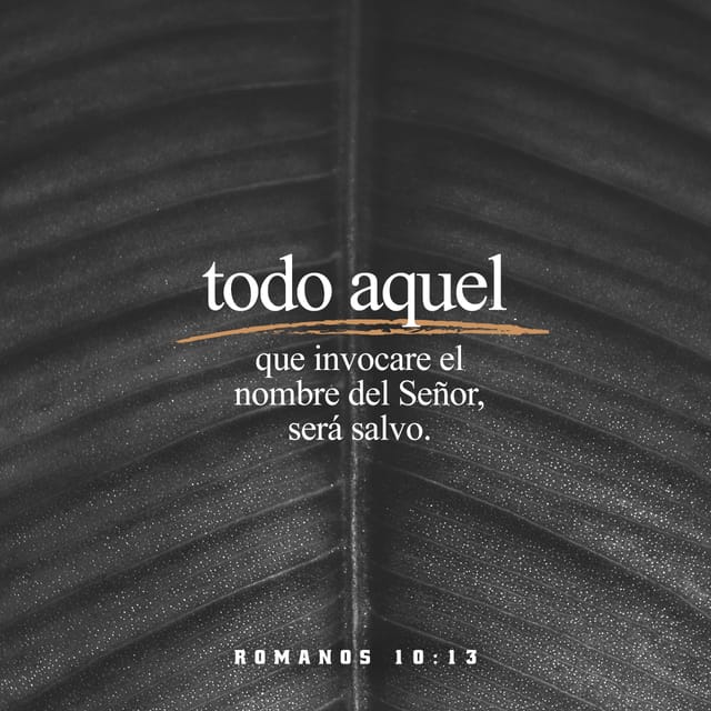 Bible Verse of the Day | YouVersion