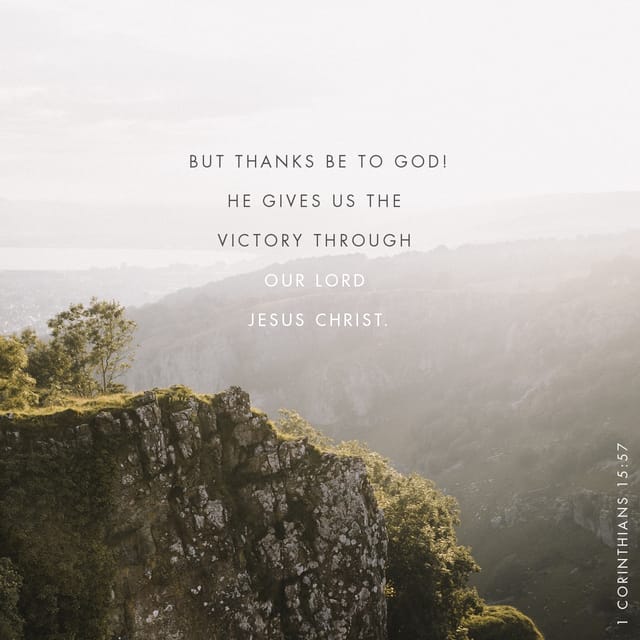 Bible verse of the day | YouVersion