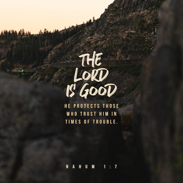 Bible Verse of the Day | YouVersion