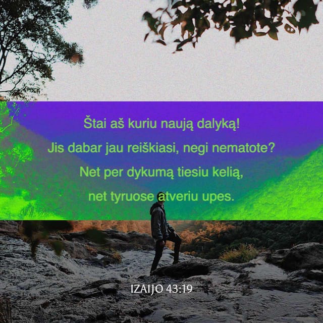 Bible Verse of the Day | YouVersion