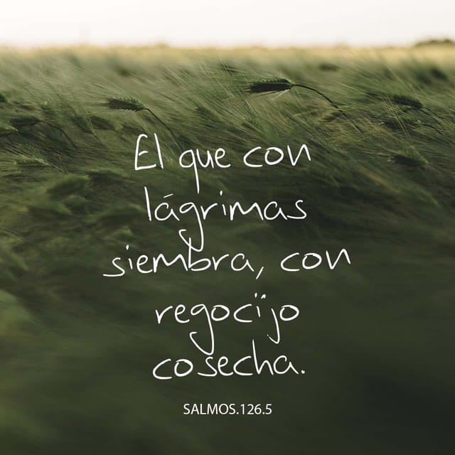 Versículo del Día | YouVersion