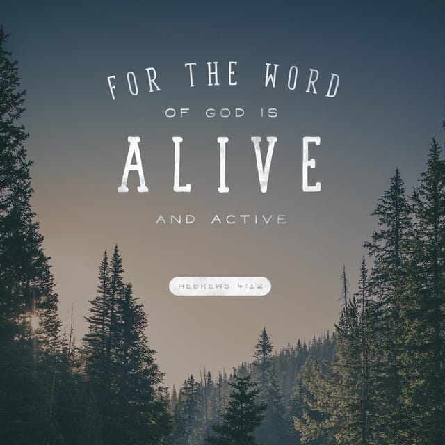 Bible Verse of the Day | YouVersion
