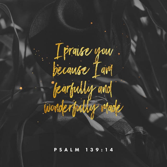 Bible Verse of the Day | YouVersion