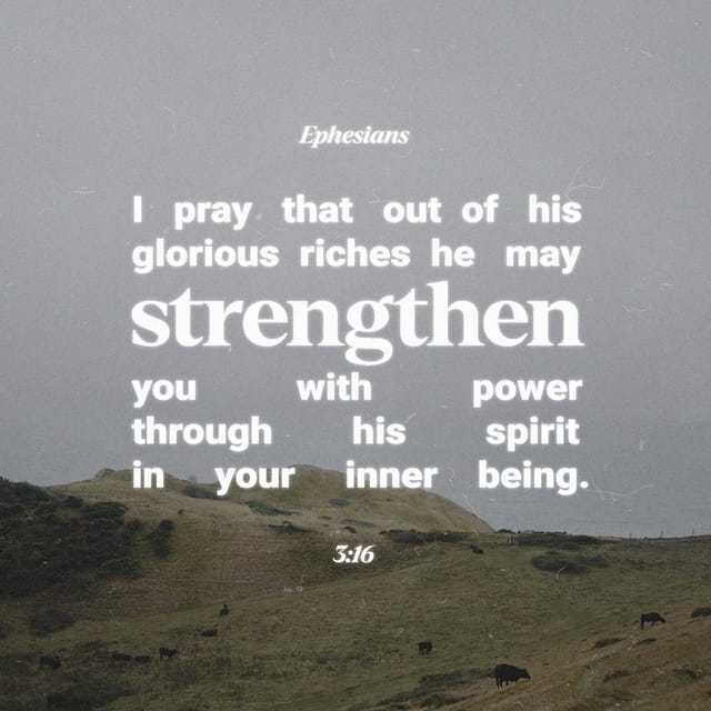 Bible Verse of the Day | YouVersion