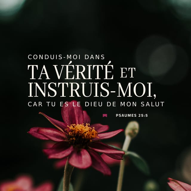 Verset Biblique du jour | YouVersion | La Bible App | Bible.com