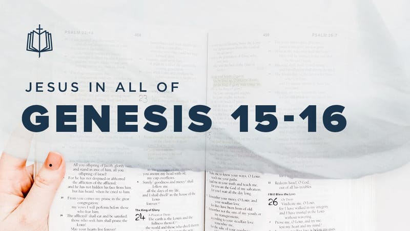 Genesis 15-16 | Videos | YouVersion