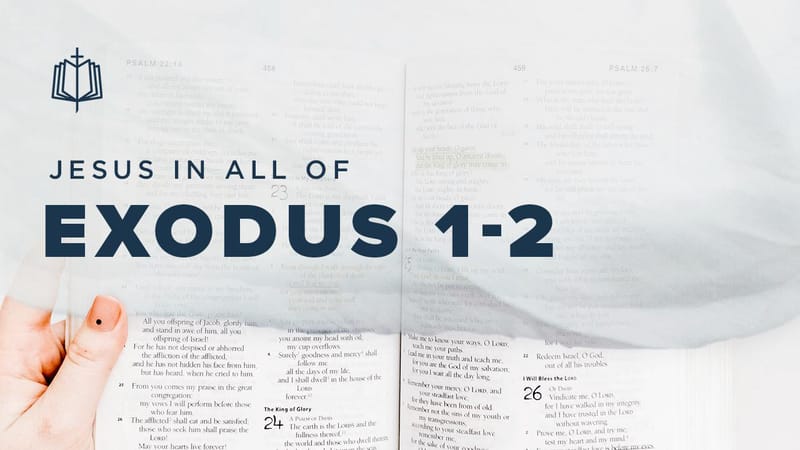 Exodus 1-2 | Videos | YouVersion
