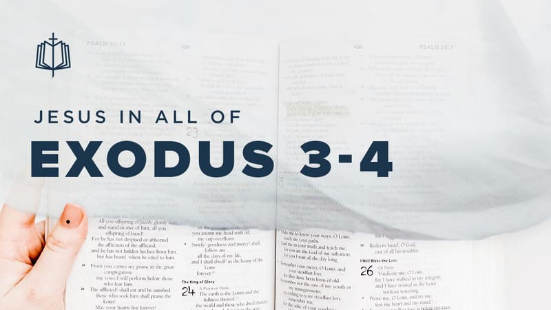 Exodus 3 4 Videos Youversion