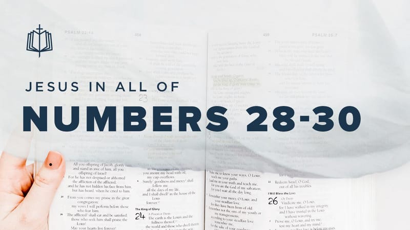 Numbers 28-30 | Videos | YouVersion
