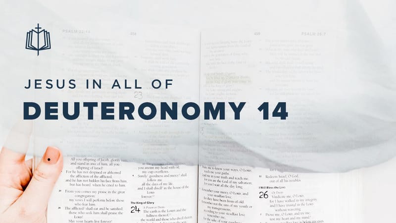 Deuteronomy 14 | Videos | YouVersion