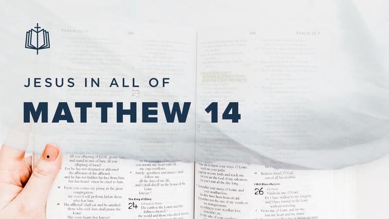 Matthew 14 | Videos | YouVersion