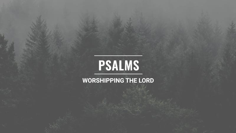 Session 13 - Psalms: Worshipping the Lord | Videos | YouVersion