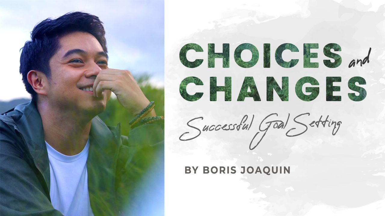 Choices And Changes: Successful Goal Setting Choices And Changes: Successful Goal Setting