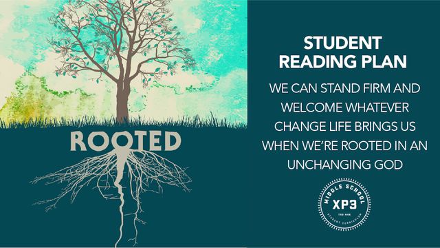 Rooted | Devotional Reading Plan | YouVersion Bible