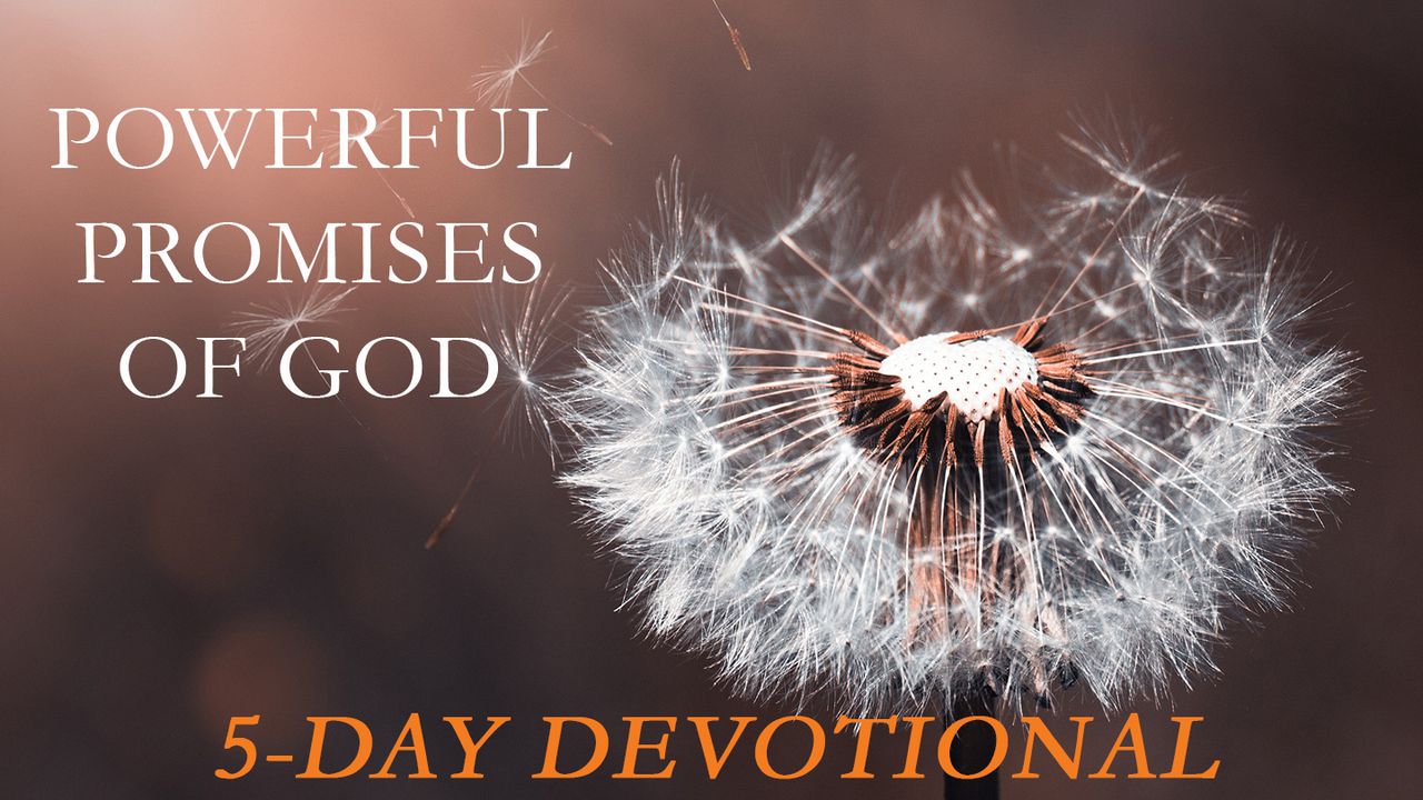 25 Powerful Promises From God - Day 1 of 5