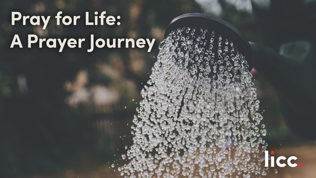 Pray For Life: A Prayer Journey | Devotional Reading Plan | YouVersion ...