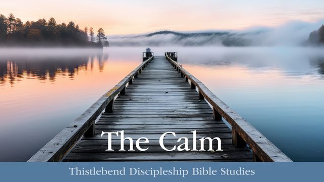 The Calm: Live Each Day in the Calm Amid the Storm | Devotional Reading ...