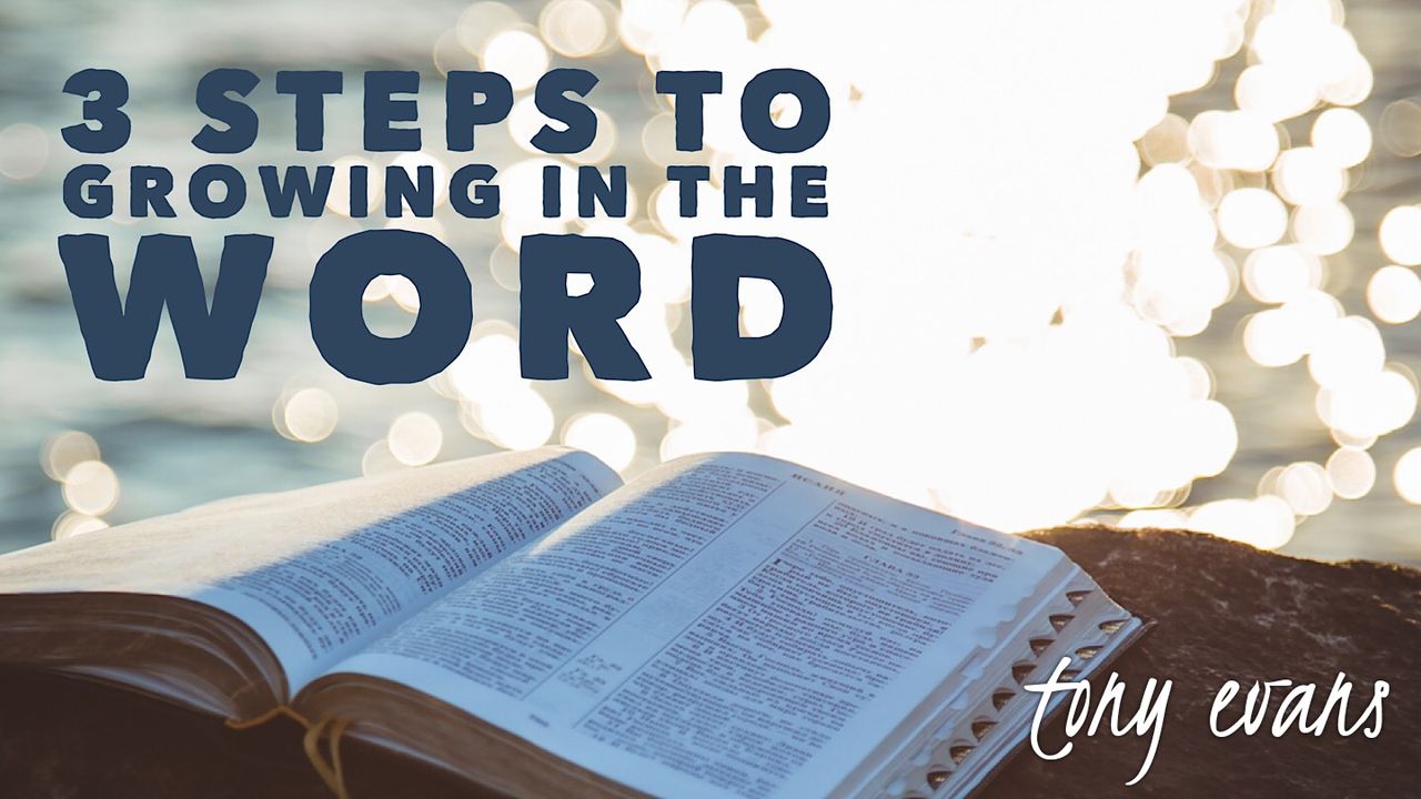 3 Steps To Growing In The Word